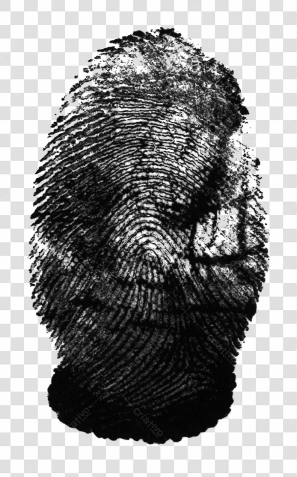 Fingerprint Textures High Resolution Design Asset | PNG Premium [download]