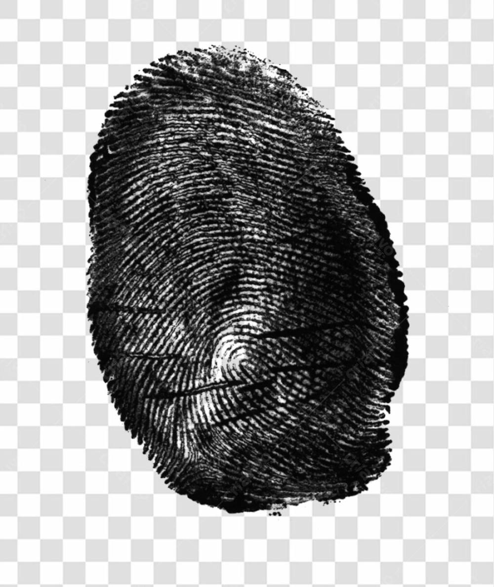 Fingerprint textures high resolution design asset - [download] 127093 ...