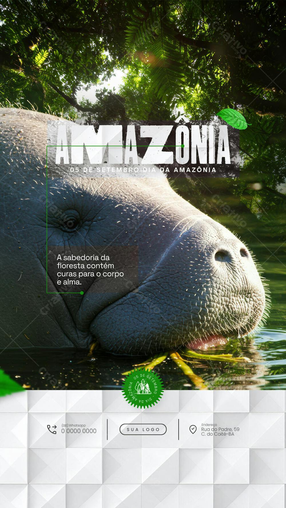 Flyer Dia da Amazônia PSD Editável | PSD Premium [download]