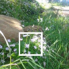 Croppie Plugin | Bubble