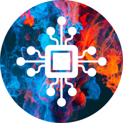 Nocodomia Contributor Profile | Bubble