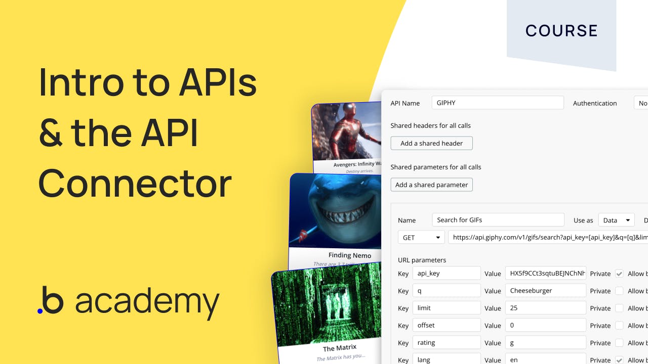 Intro To Apis And The Api Connector Bubble