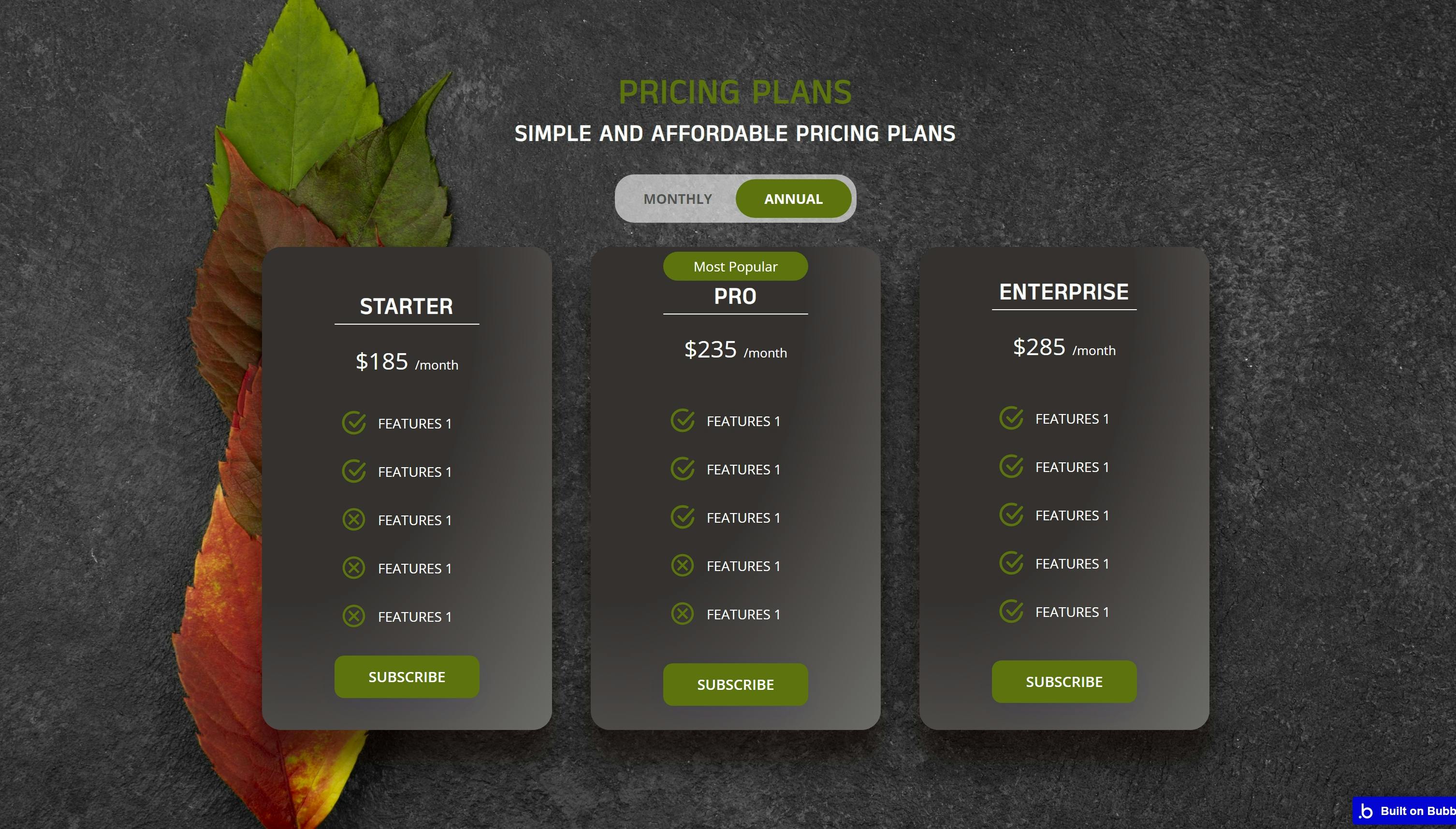 Pricing Plan Template | Bubble
