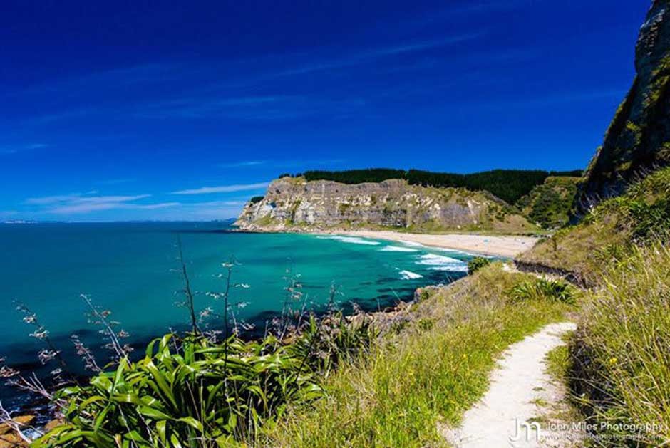 Waipatiki Beach Holiday Park | Tangoio Camping | Tentopia