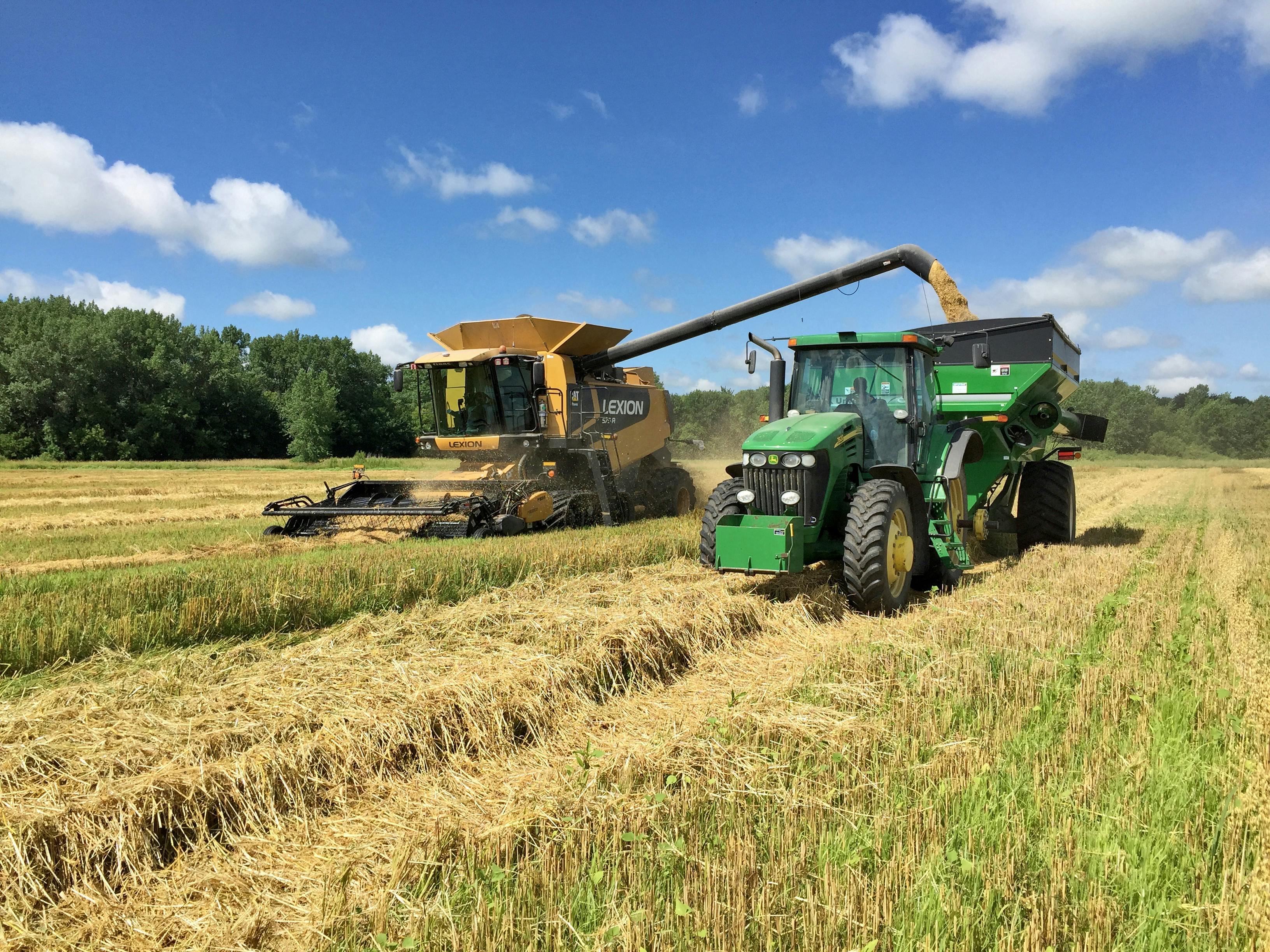 Find Cover Crops by Practical Farmers of Iowa