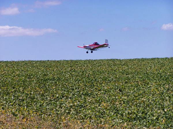 Find Cover Crops by Practical Farmers of Iowa