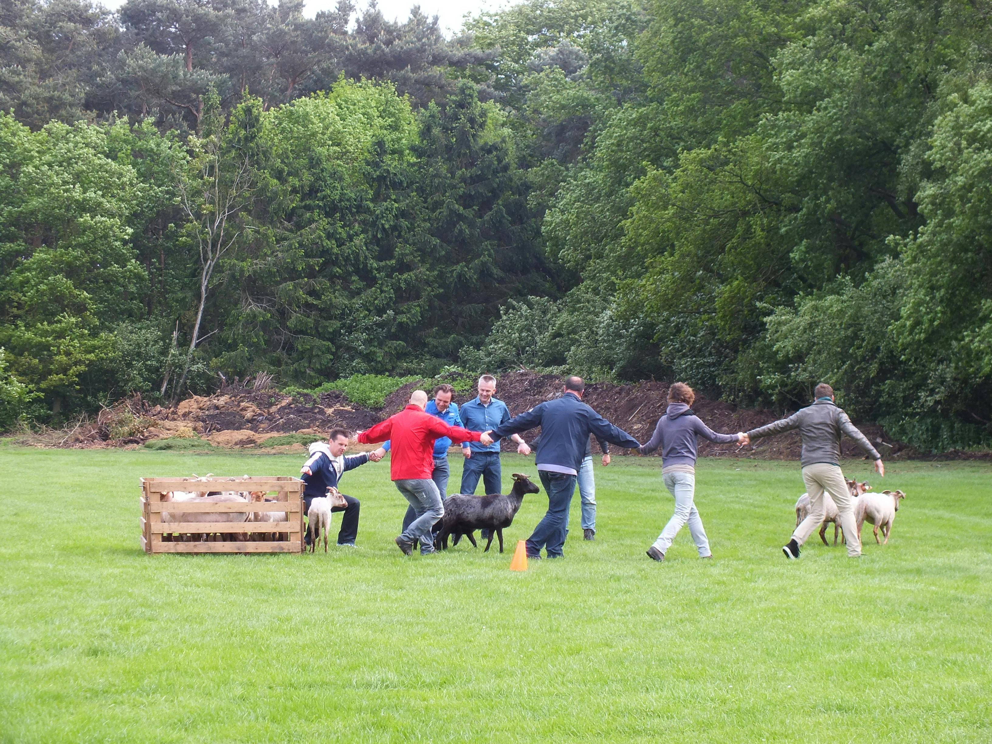 Groepsactiviteiten Groningen - Blog - BuitenEvents