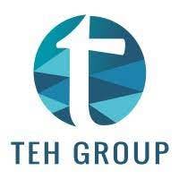 THE TEH GROUP