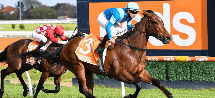 Trevor Lawson: Punting pointers - Champion Bets