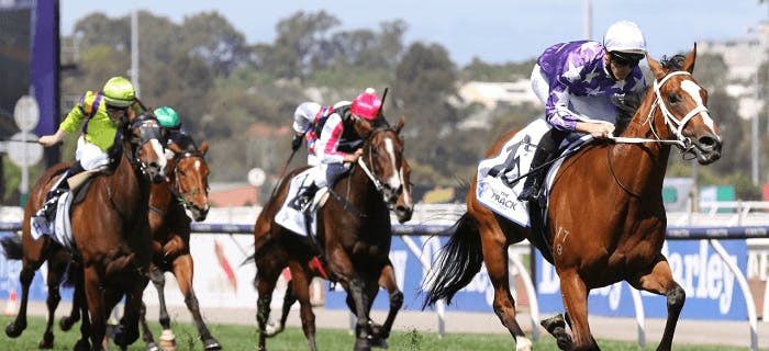 Group 1 Coolmore Classic: Runner-by-runner expert preview and best ...