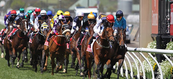 Punting pointers: Dominic Beirne, legendary bookmaker and form analyst ... Punting pointers: Dominic Beirne, legendary bookmaker and form analyst ...