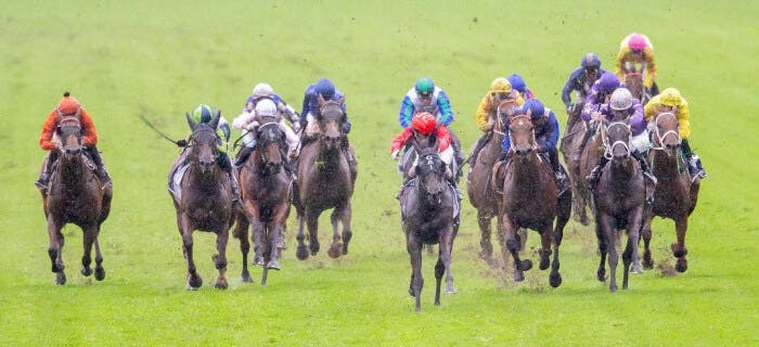 Introducing horse racing pro punter Gareth Phillips - Champion Bets